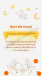 Baby Birth Announcement Email Wording