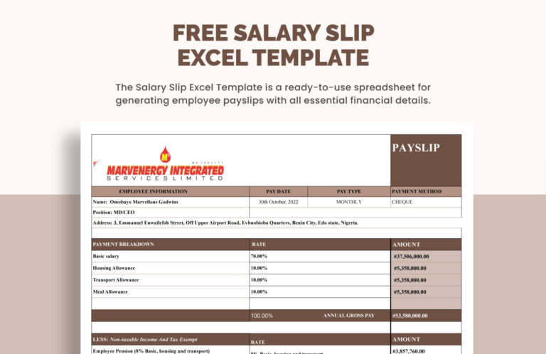 Domestic Worker Salary Slip Template